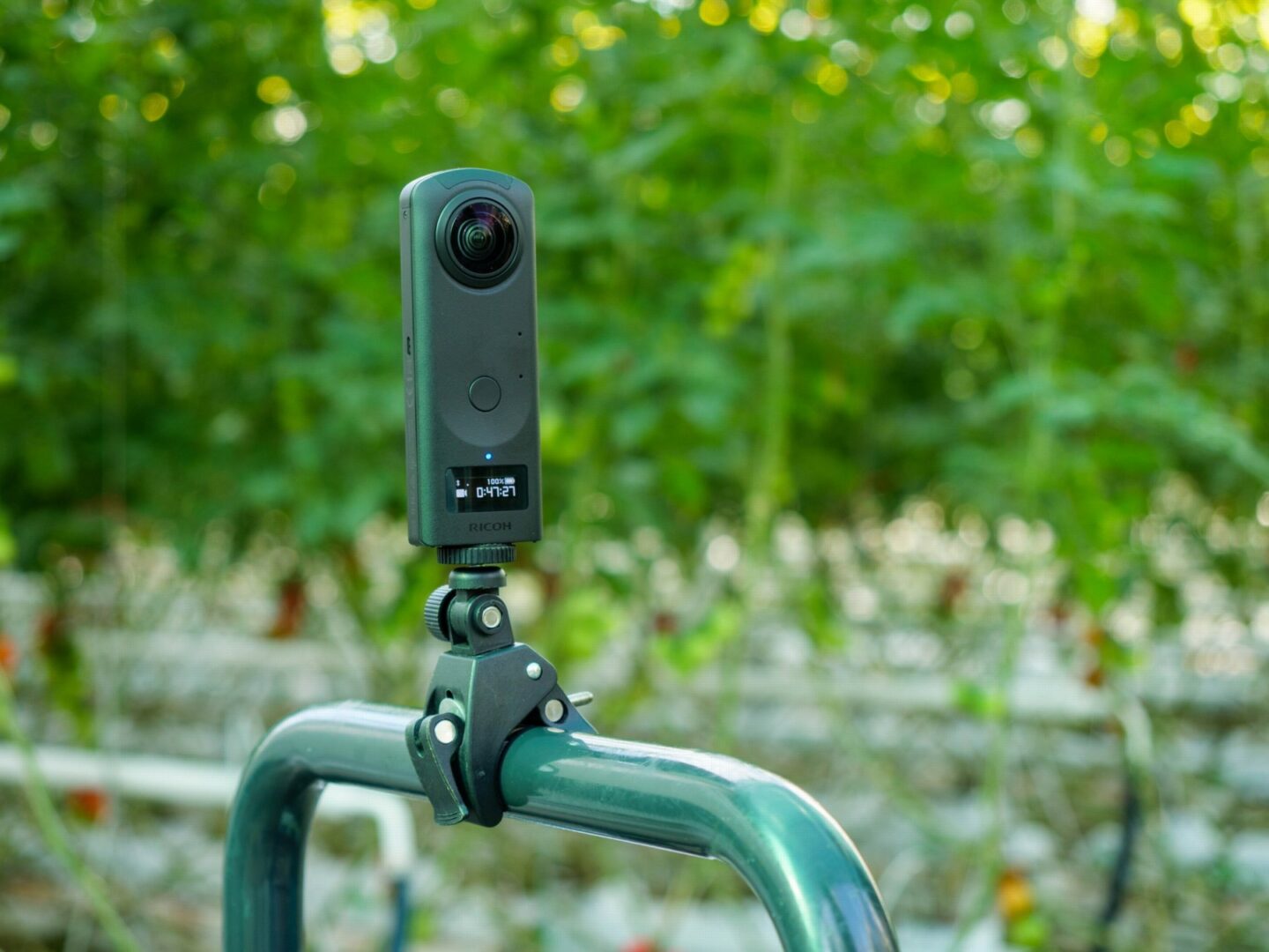 BERABOT: Robotizace a virtuální realita v českém zemědělství | Náš chov ...