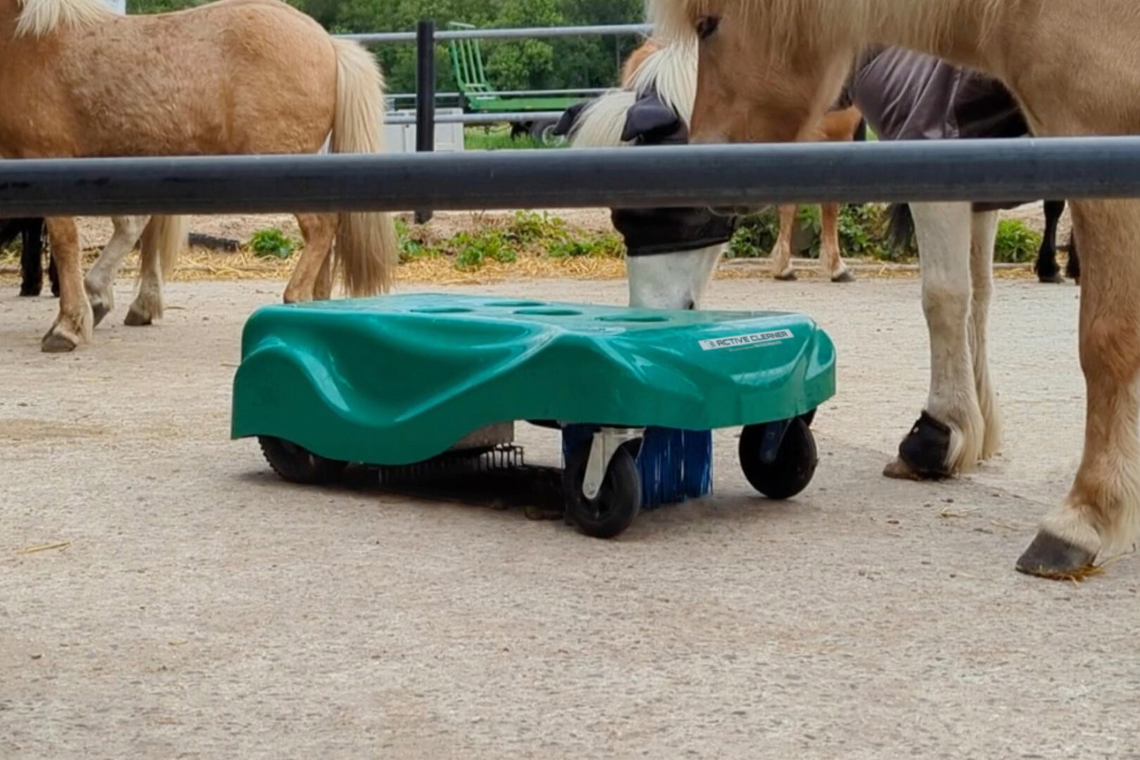 Zaměřeno na welfare a životní prostředí | Náš chov - vše o chovu ...