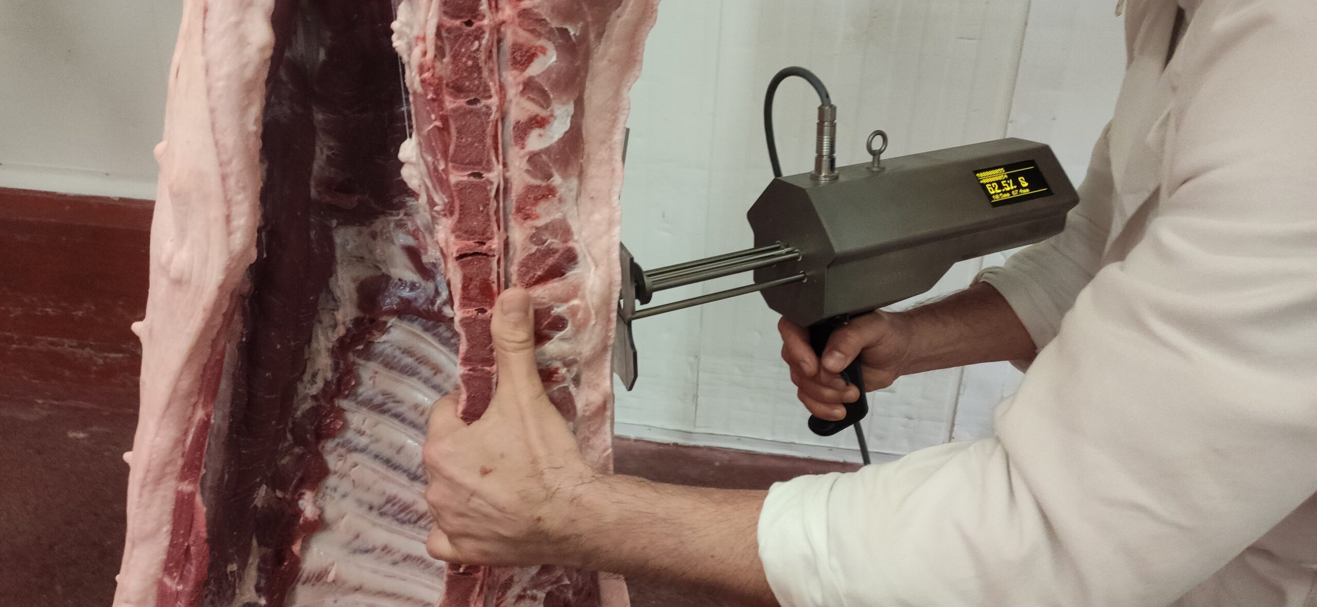 Aktualizace metod klasifikace prasat na jatkách | Náš chov - vše o ...